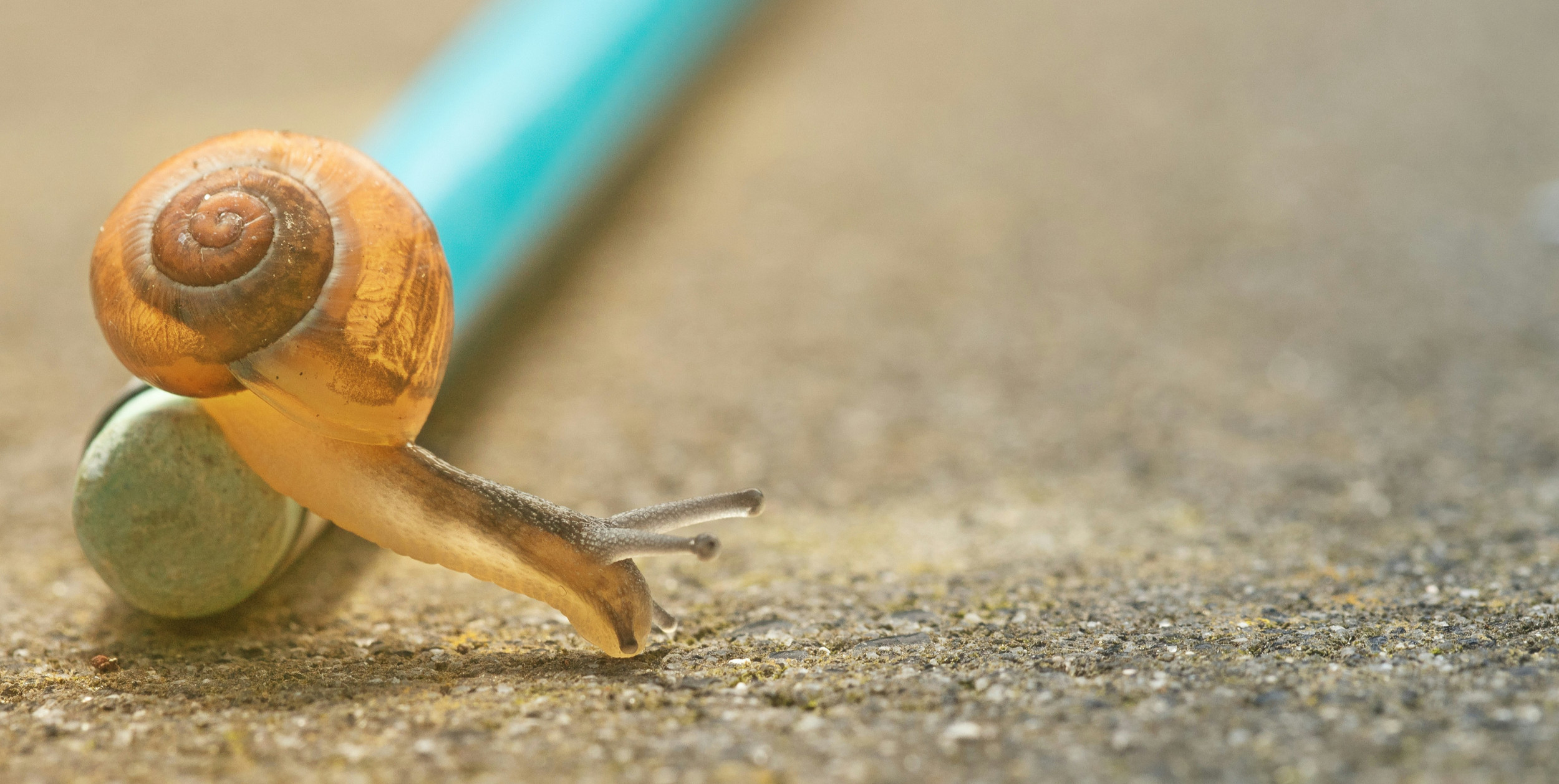 How to Increase Sales in Slow Months