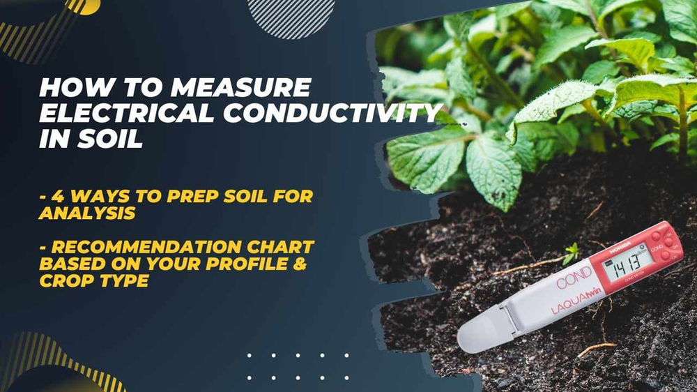 How to Measure Electrical Conductivity (EC) in Soil
