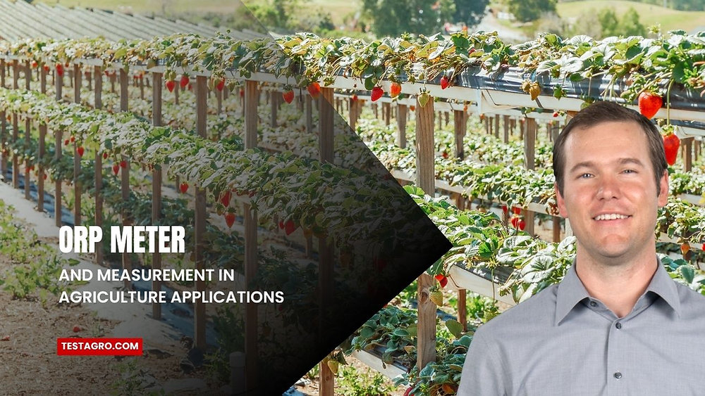 ORP Meter and Measurement in Agriculture Applications