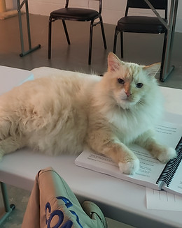 Animal Control Officer Training | Humane Educators