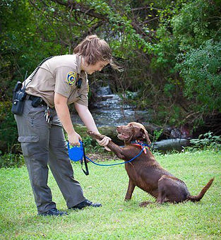 Humane H.E.L.P. | Peer Support | Texas, USA