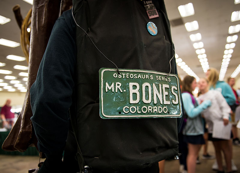 Denver Gem & Mineral Show