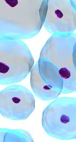 Prof. Isis Contreras - WebDelProfesor