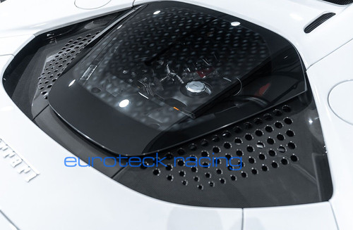 SF90 Carbon Fiber Rear Deck Lid Engine Bay Mesh | euroteck-racing-llc