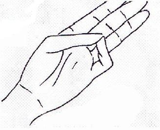 Yoga Tattva Mudra Vigyan – Healing with Hand Mudras | Yoga with Kelsey Mhyn