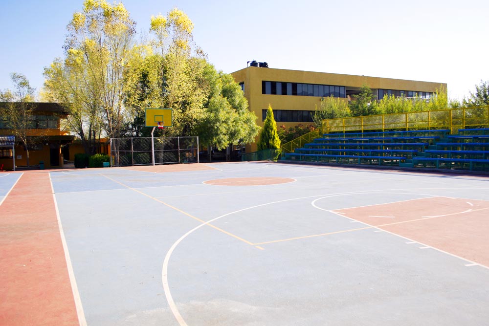 Galería | liceo-freinet
