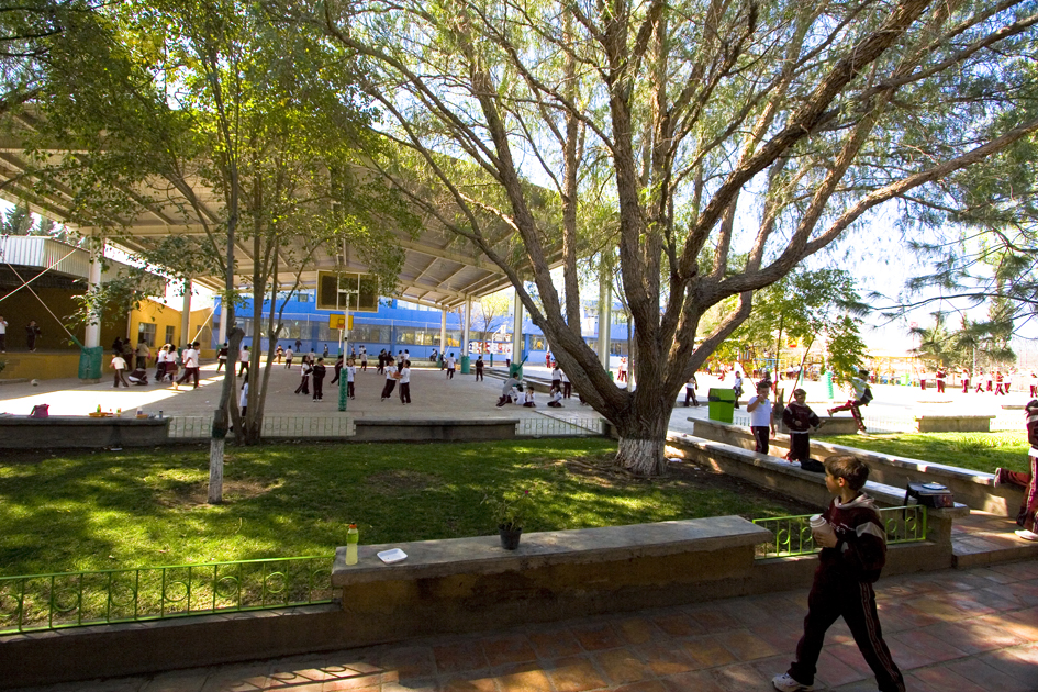 Galería | liceo-freinet