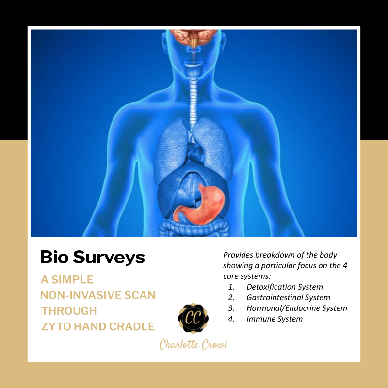Bio Surveys | Health & Wellness - England | Charlotte Crowl