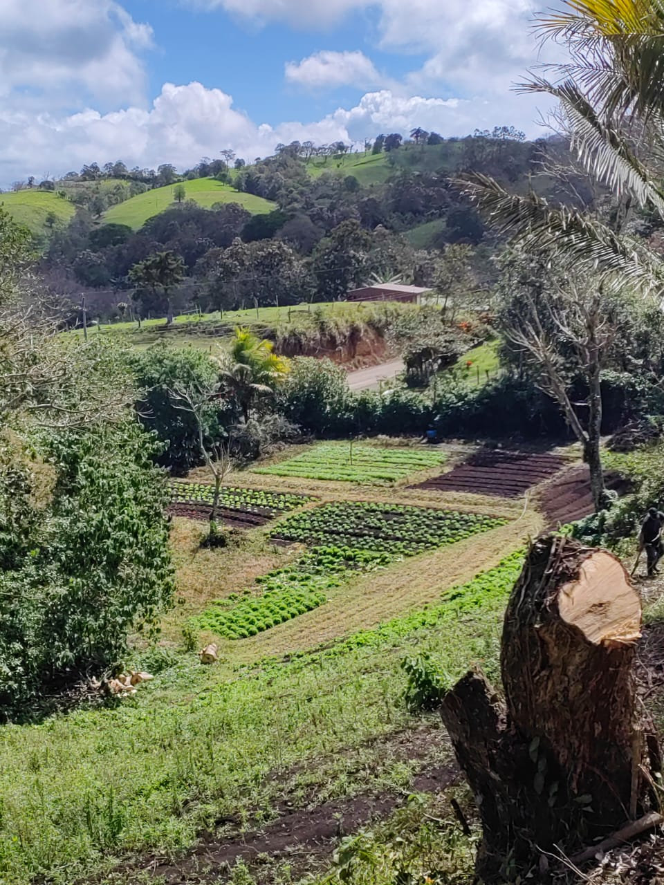 Beautiful 2932 m2 lot with Lake Arenal View in Tronadora Town