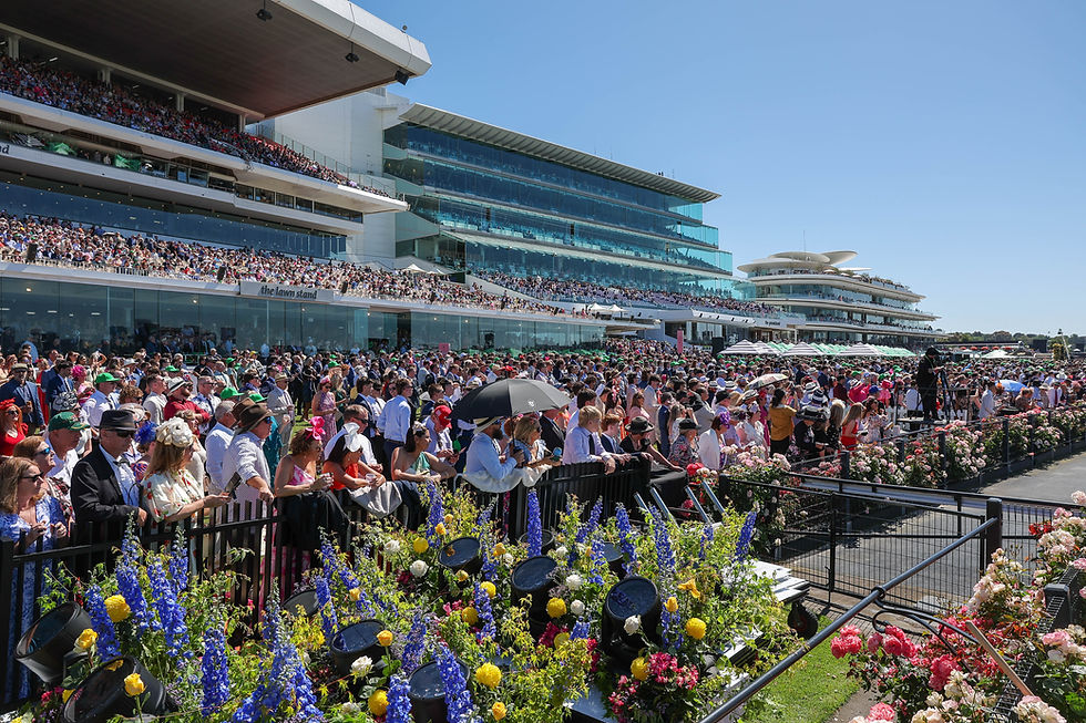 Your Melbourne Cup Carnival Guide