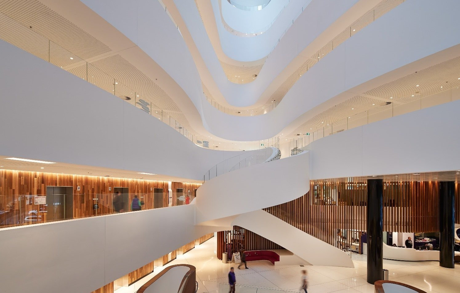 Victorian Comprehensive Cancer Centre (VCCC) | Humanics Collective