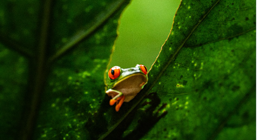 All Products | Mr C Biology