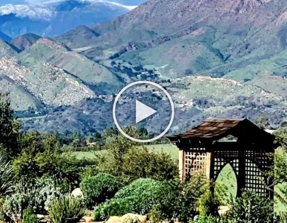 View from the Mount: ‘The Dynamo of Divine Discontent'’ – August 4, 2024