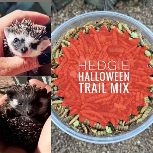 Tucson Hedgehogs “The Hedgehog Halloween Trail Mix” | Tucson hedgehogs