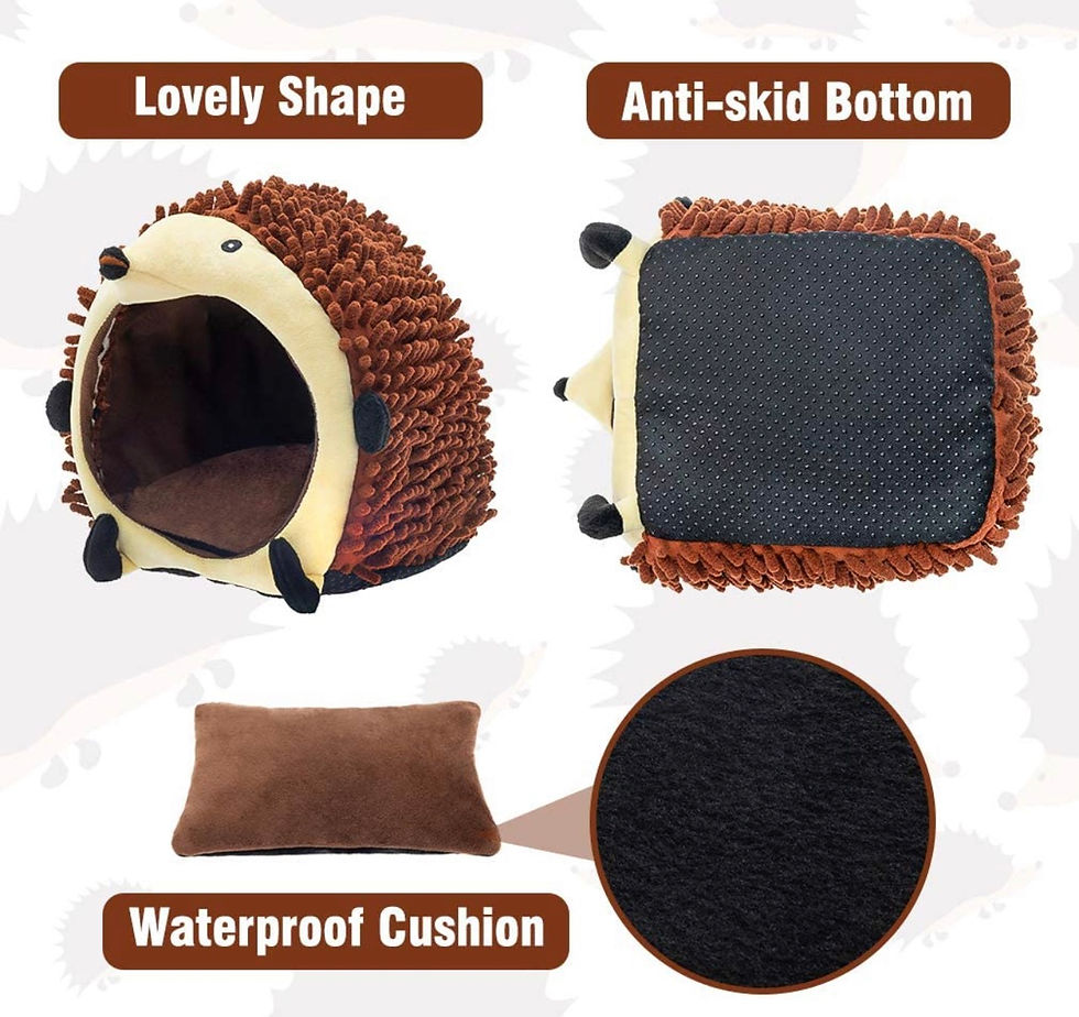 Hedgehog Hides and Beds | Tucson hedgehogs