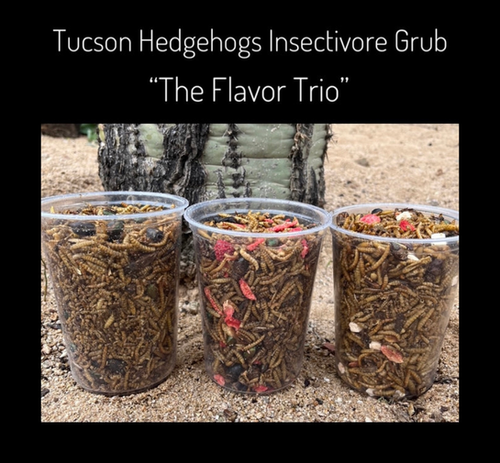 Tucson Hedgehog Insectivore Grub The 3 Pack - | Tucson hedgehogs