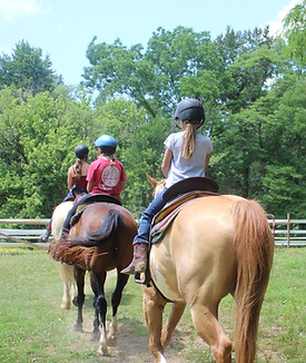 WIT | ymca-camp-carson