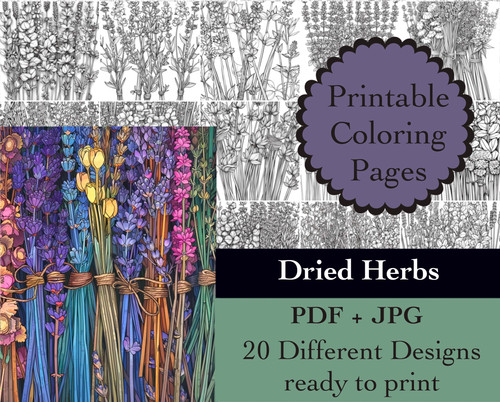 Dried Herbs Coloring Book 20 Coloring Pages Instant Download | Paperie ...