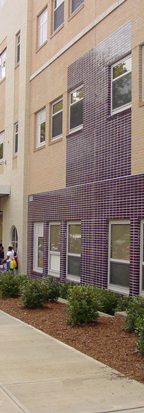 Roberta Washington | BEYOND THE BUILT ENVIRONMENT