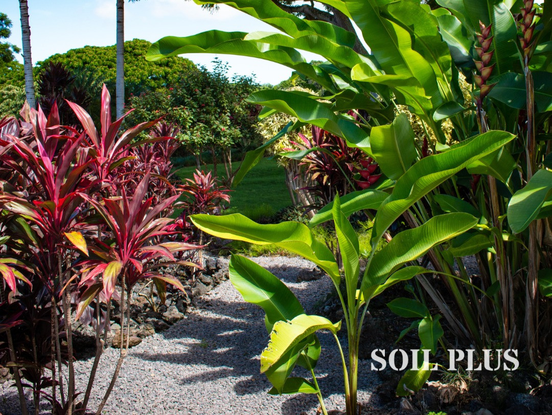 Landscape Rock Supply Hawaii | Soil Plus