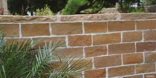 Camel-Sandstone-COPING | Stone products