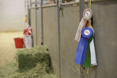 Ranch Sorting of America | ranch sorting texas | 33525 Cameron Road ...