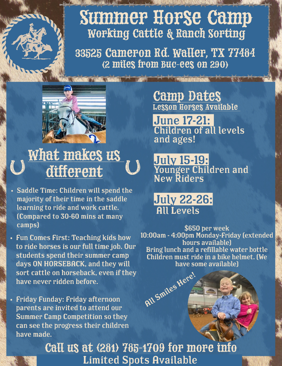 Summer Camps | Ranch Sorting Lesson