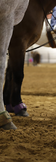 Ranch Sorting of America RSOA