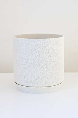Pumice Planter | Utilize