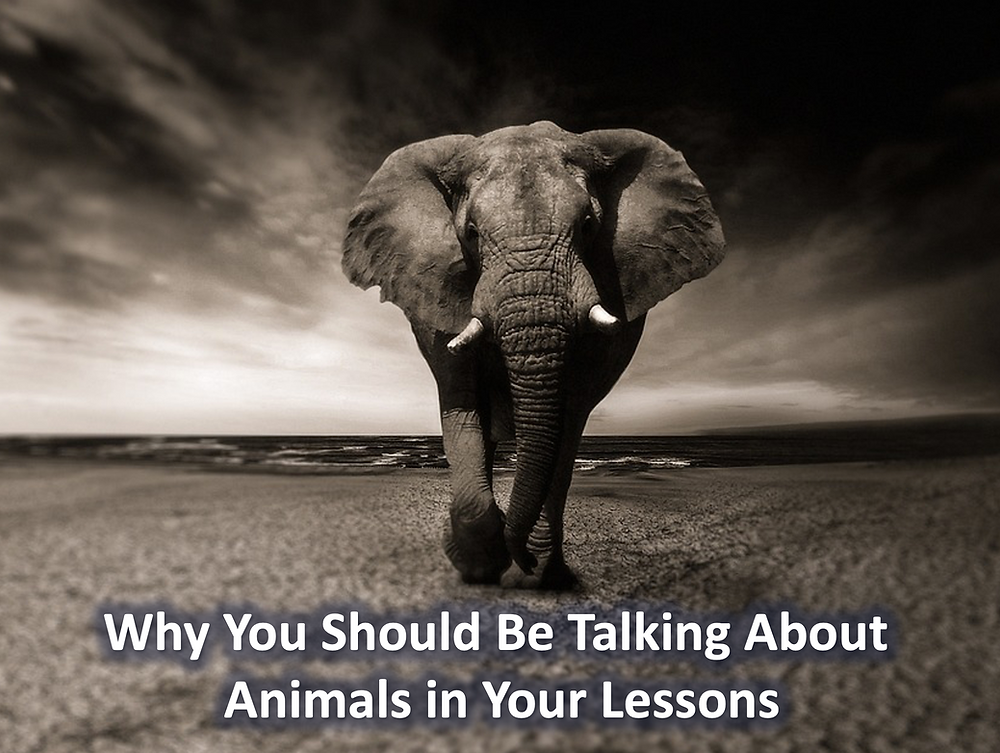 Why You Should Be Talking About Animals in Your Lessons