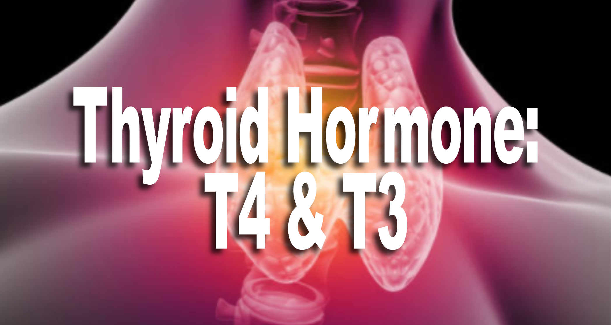 thyroid hormone function ppt