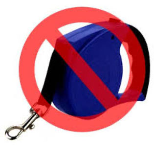 Dangers of Using a Retractable Leash