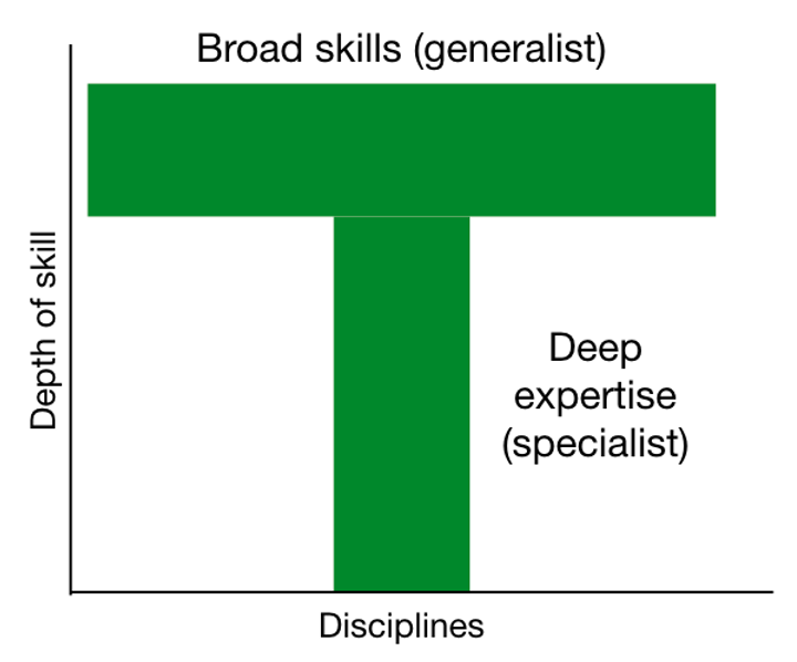 Need of a T-Shape Developer and an Architect