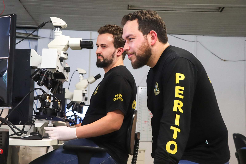Dia do Perito: investimentos em ciência garantem investigações ...