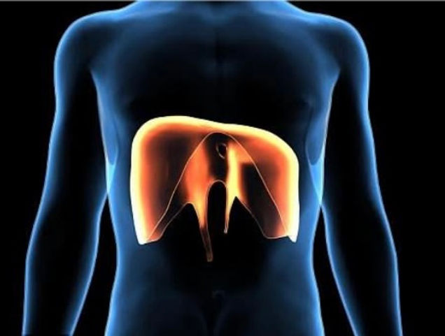 Understanding Singing for Lung Patients