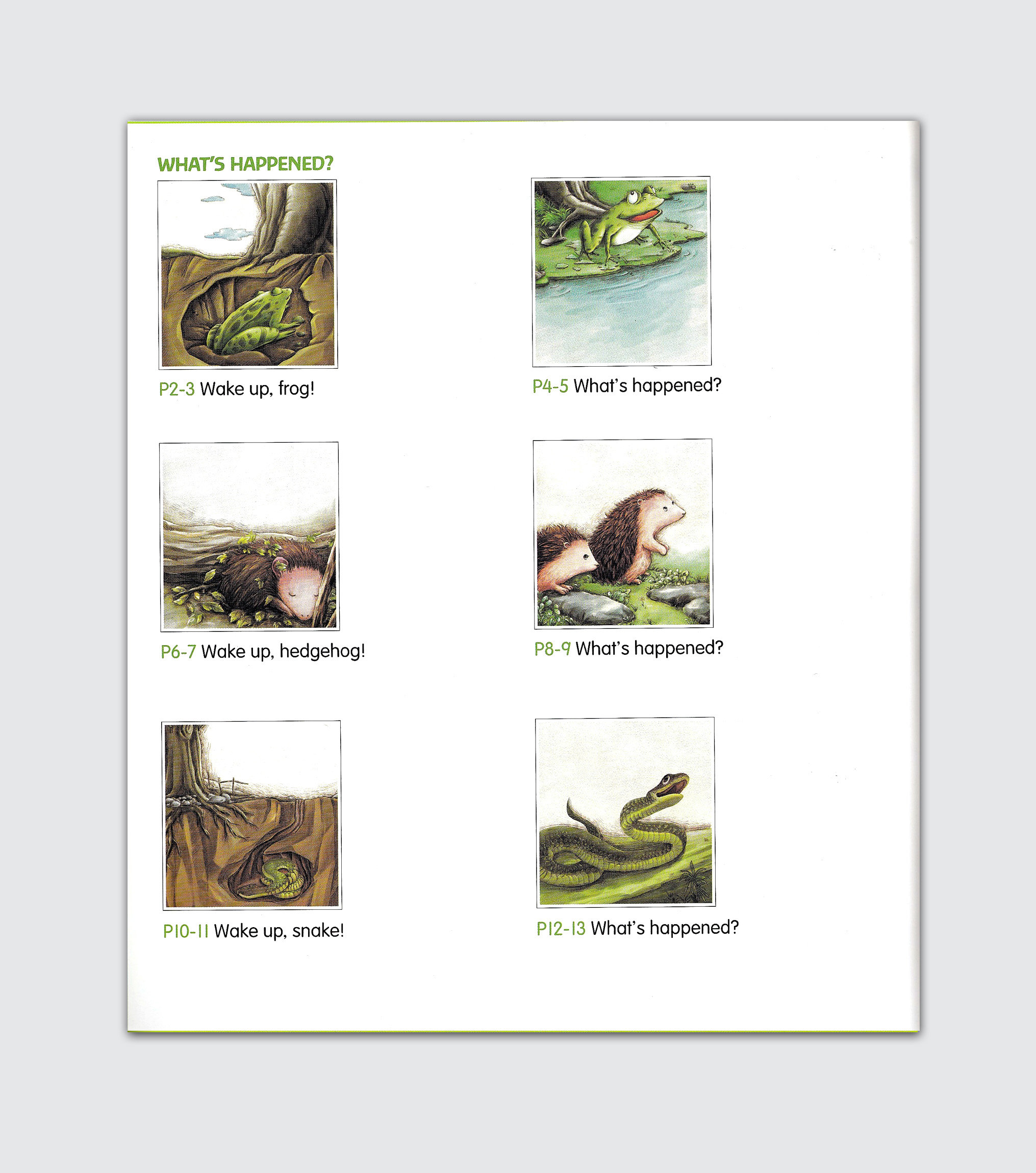 Bilingual English - Mandarin -What's Happened? | bilingualbees