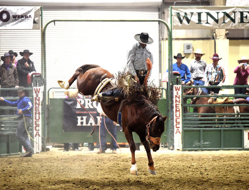 HOME | Western States Ranch Rodeo Association