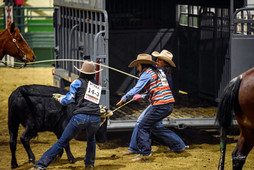 HOME | Western States Ranch Rodeo Association