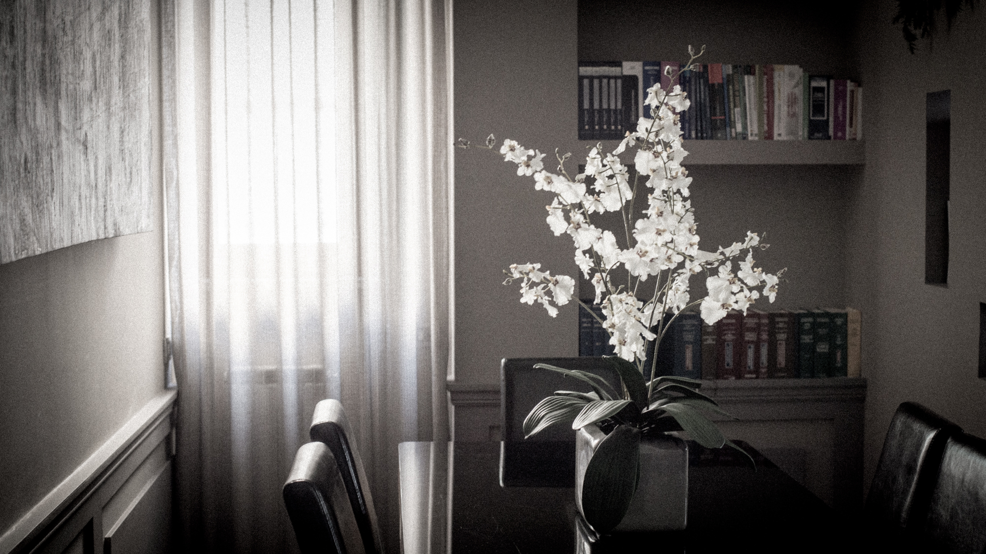 Studio Legale Avvocato Laura Martelli - Legnano (Milano)