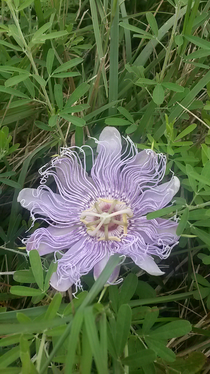 Photo Gallery | Mysite