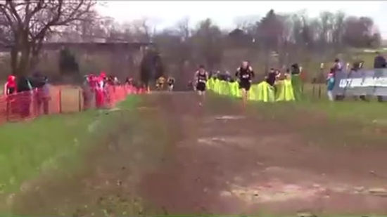 Chicago Rabbits | chicago running club | Chicago, IL, USA