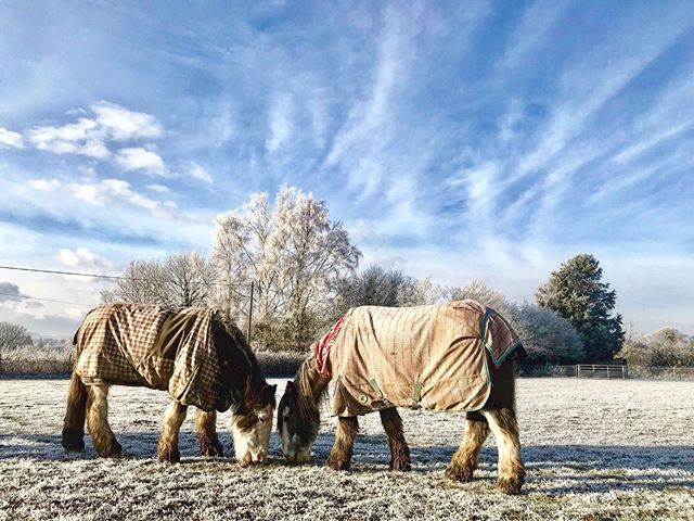 How To Look After Farm Animals In The Winter