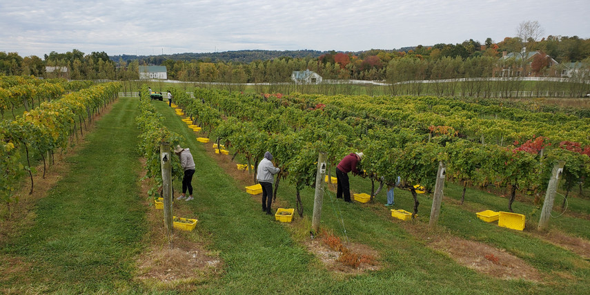 Central Ohio Wine | Central Ohio Wine Country