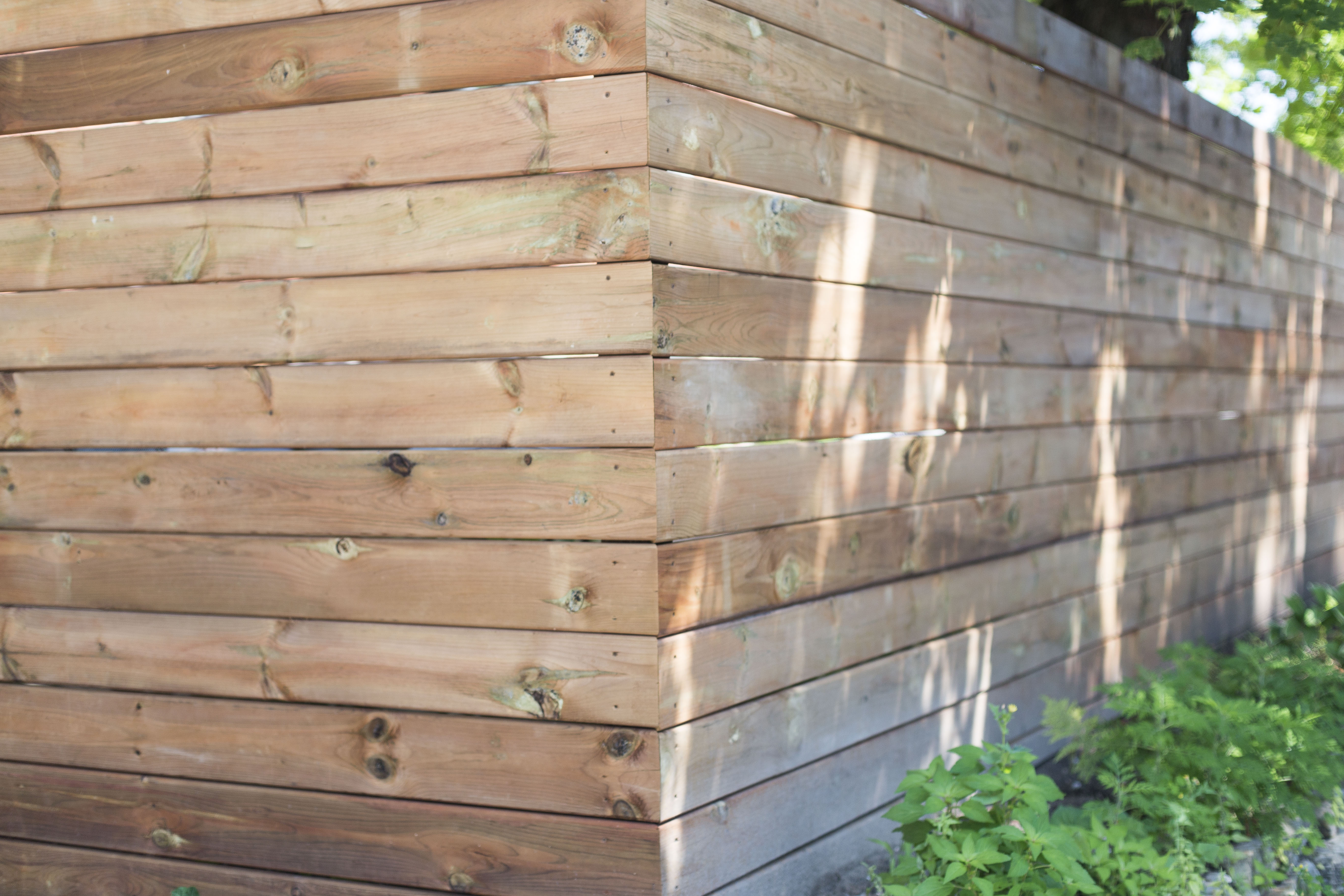 Spruced-Up | East Toronto