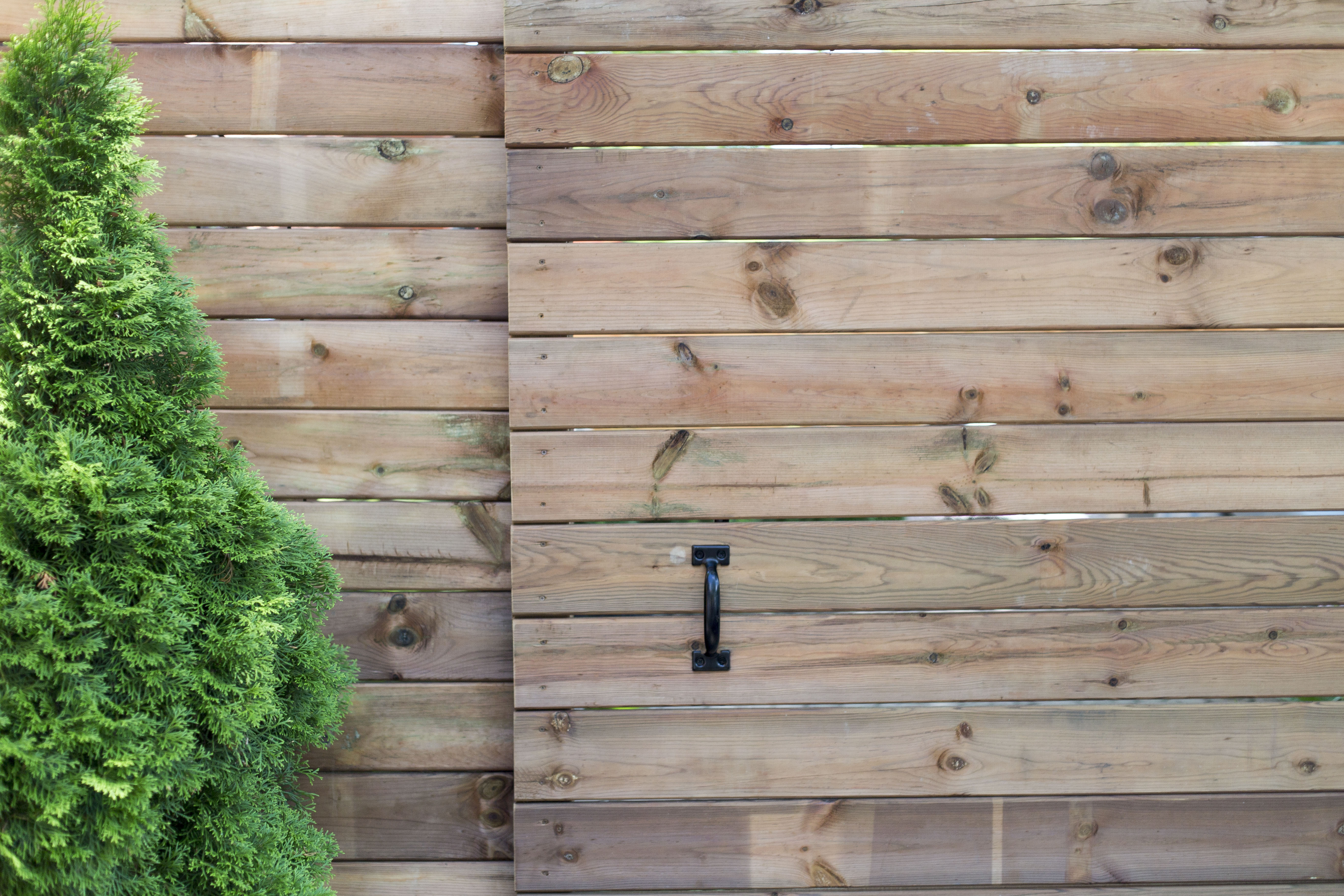 Spruced-Up | East Toronto