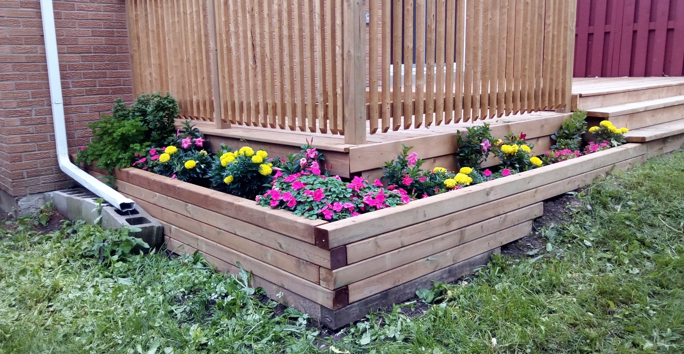 Spruced-Up | East Toronto