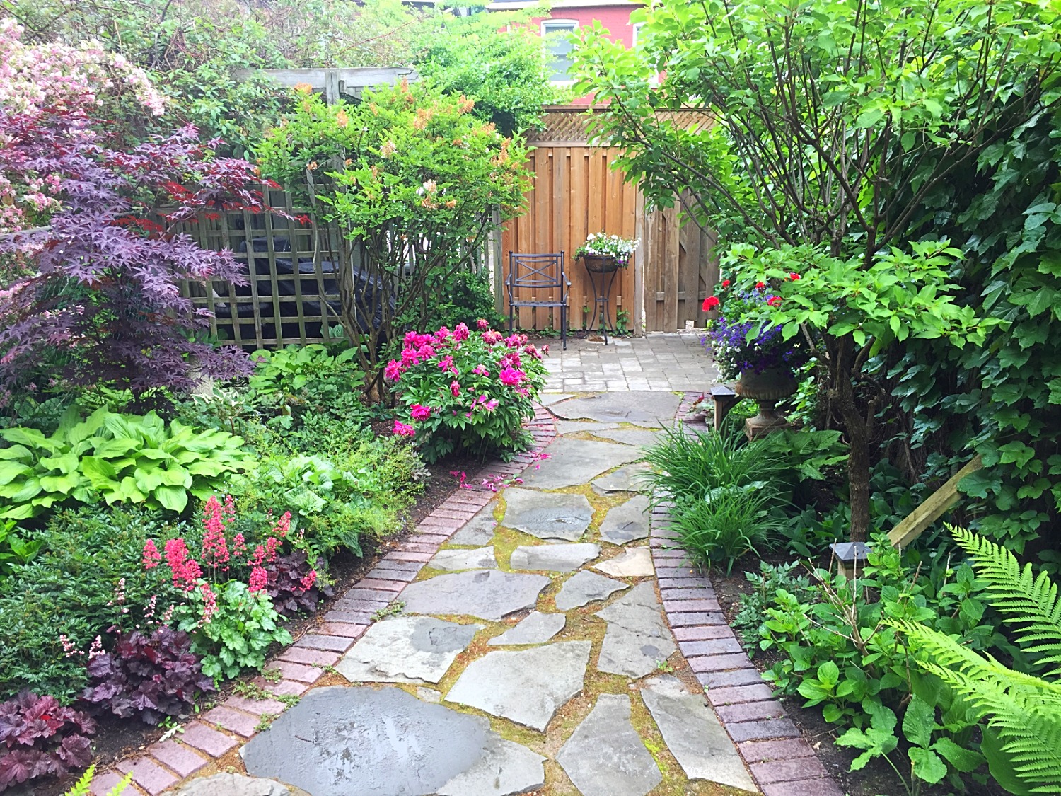 Spruced-Up | East Toronto