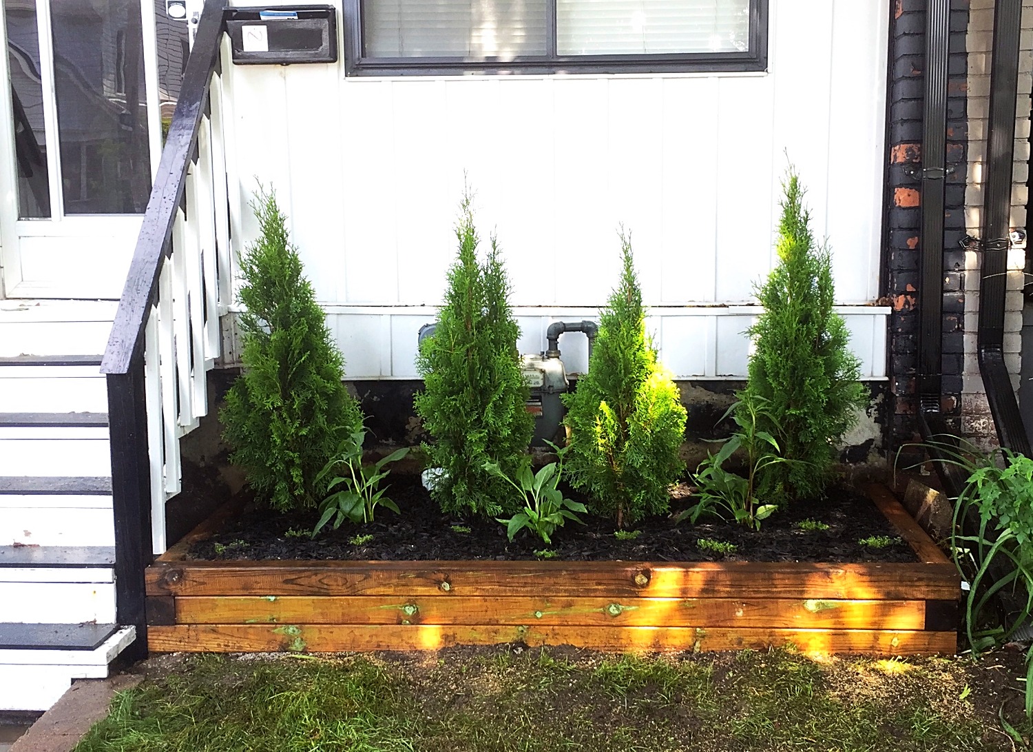 Spruced-Up | East Toronto