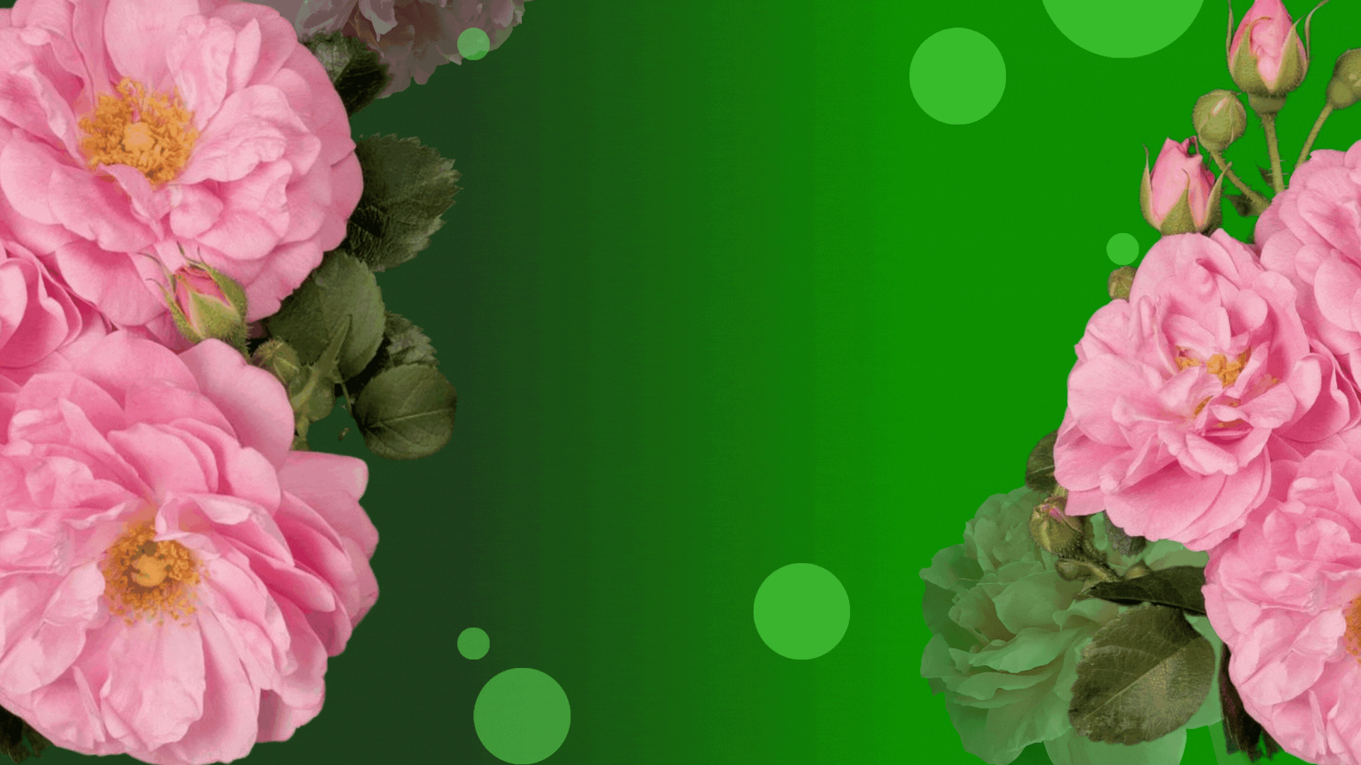 The Secret of an Eternal Scent Rosewater: The Queen of Softness in ...
