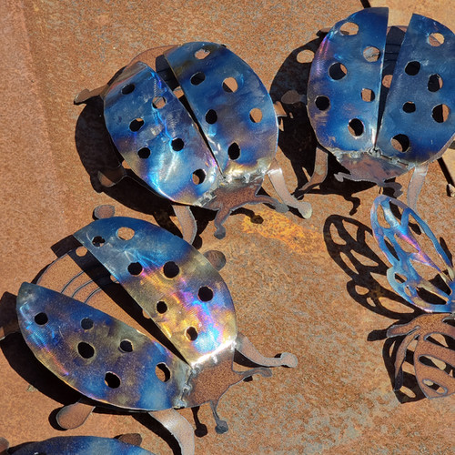 Heat coloured Ladybug | De Lew Designs Au